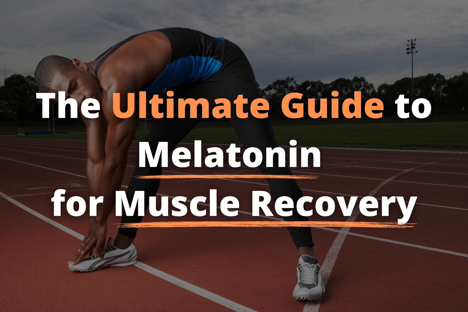 The Ultimate Guide to Melatonin for Muscle Recovery – Hibernate Sleep ...